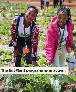 FOOD FOR LIFE - PressReader