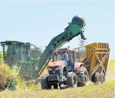 Pan Caribbean Sugar Co struggles to stay afloat - PressReader