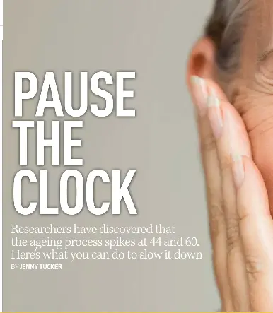 PAUSE THE CLOCK - PressReader
