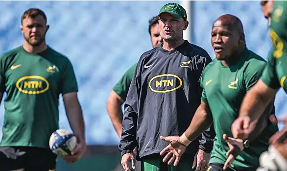 Springboks determined to get back into winning groove in Rugby ...