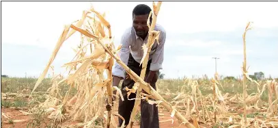 Drought dampens the party as P360m pumped into Temo Letlotlo - PressReader