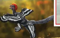 A ROARING TRADE - PressReader