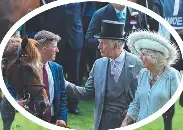 Sydney Cup is fit for King’s smart stayer - PressReader