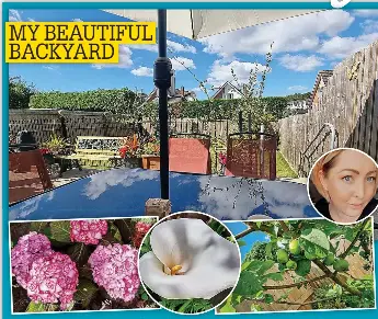 MY BEAUTIFUL BACKYARD - PressReader