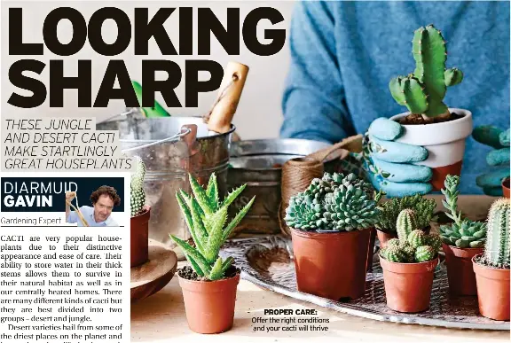 ASK DIARMUID - PressReader