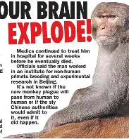 CHINA MONKEY PLAGUE MAKES YOUR BRAIN EXPLODE! - PressReader