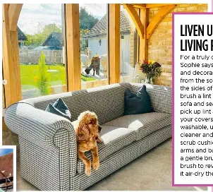 LIVEN UP YOUR LIVING ROOM - PressReader