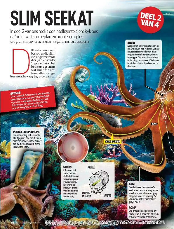 Intelligen­te diere: Die seekat - PressReader