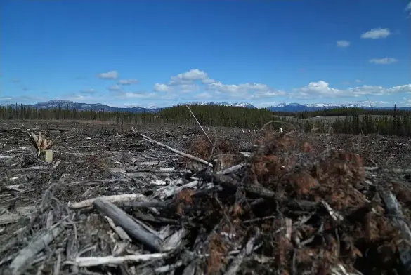 Fire-proofing an entire city: How Yukon is working to protect its capital - PressReader