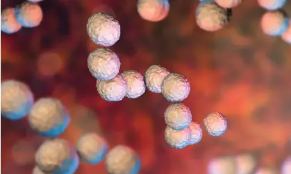 Deadly new UK strep A variant leading to disease surge in Australia ...