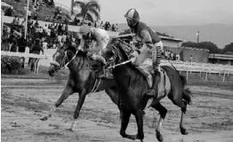 Sheer Delight warms up for Mouttet with URTAJ trophy - PressReader