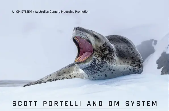 GOING WILD - PressReader