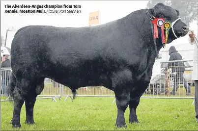 Red-letter day for Ritchie in classy line-up at Angus Show - PressReader