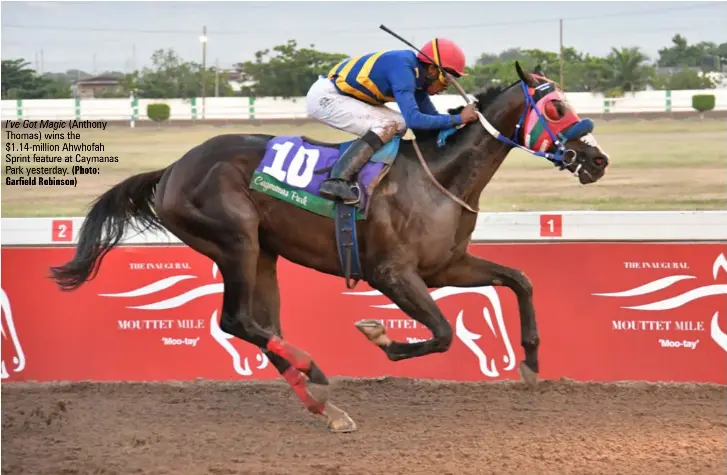 I’ve Got Magic dazzles in Ahwhofah Sprint - PressReader