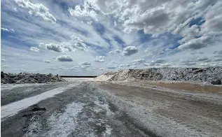 An elusive worm: the salinella is shrouded in mystery - PressReader