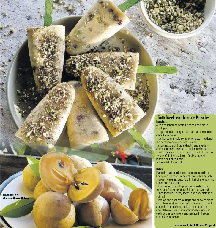 Nutty Naseberry Chocolate Popsicles - PressReader