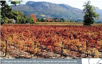 Bestuur rolblaar en rek wingerd se leeftyd - PressReader