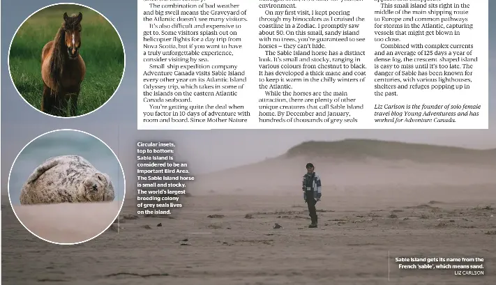 Sable’s shifting sands - PressReader