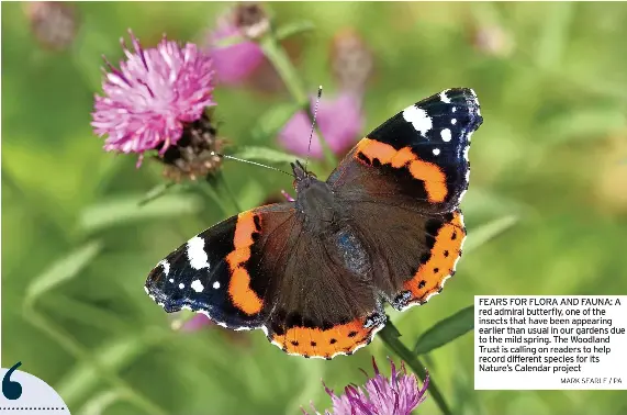 Help record climate impact on our animals - PressReader