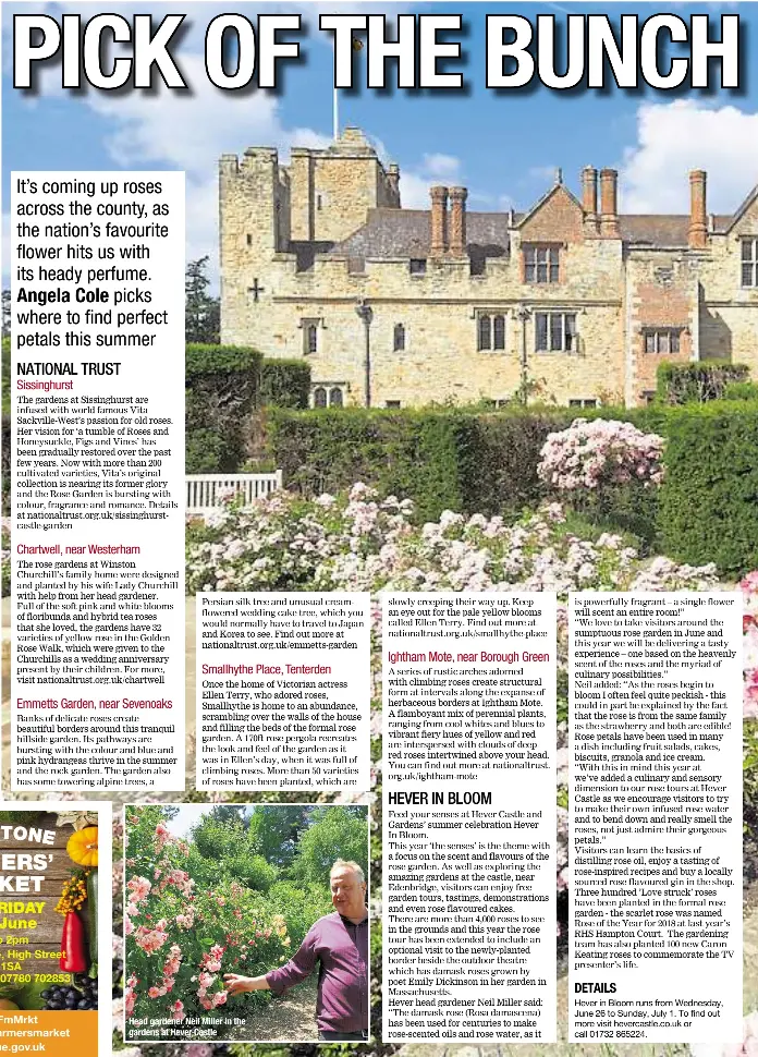 PICK OF THE BUNCH - PressReader