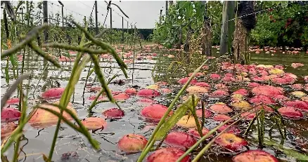 Urgent action needed now - PressReader