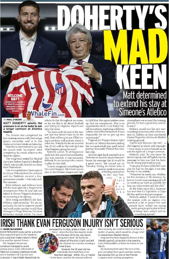 DOHERTY’S MAD KEEN - PressReader