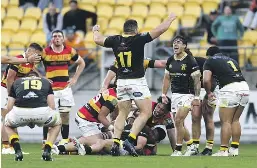 Wellington hold on for 32 phases for thrilling victory over Waikato ...