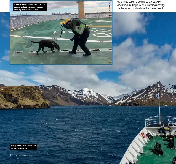 How the dogs are trained - PressReader