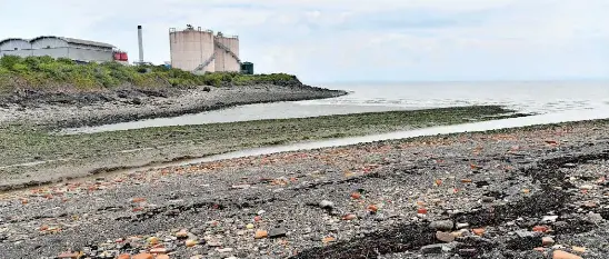 The secret beach hidden in shadow of city’s industrial past - PressReader