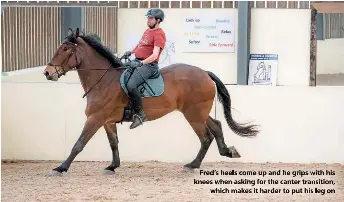NAILING THE CANTER TRANSITION - PressReader