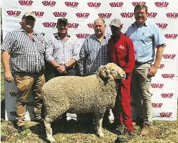 FRANKFORT / MERINO / R32 500 - PressReader