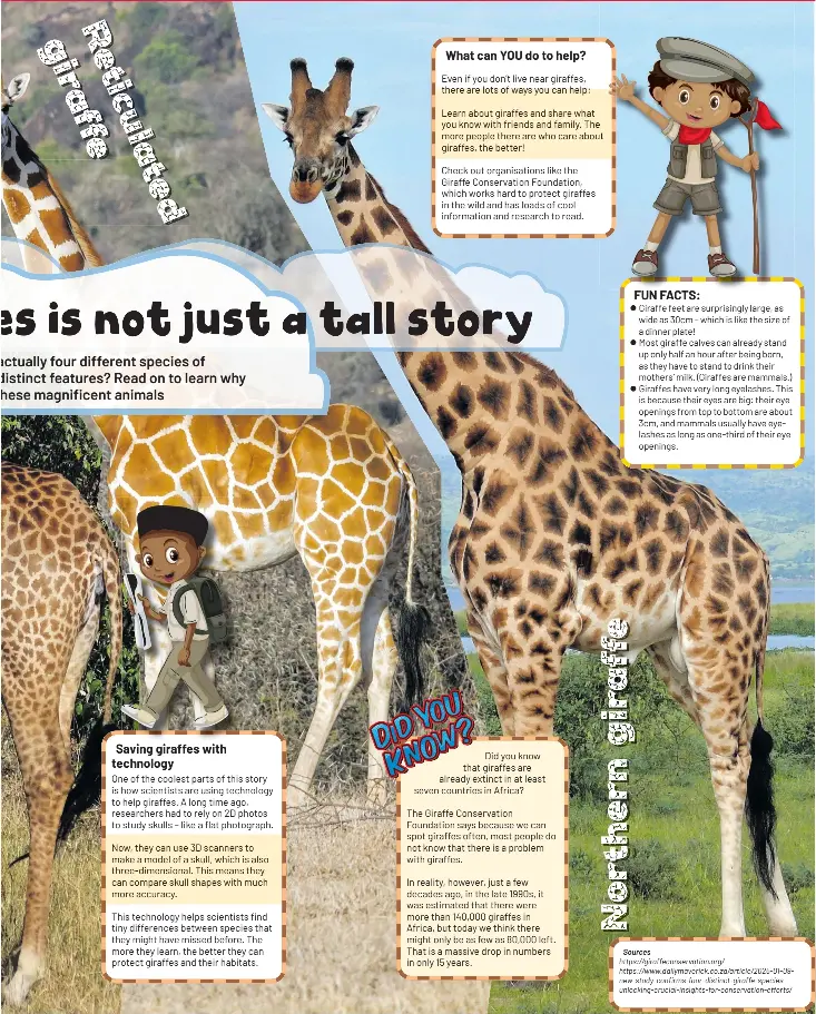 Es is not just a tall story - PressReader