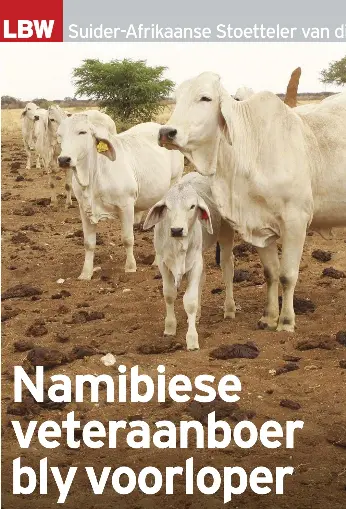 Namibiese veteraanbo­er bly voorloper - PressReader