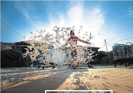 Pulau Pangkor’s prized catch - PressReader