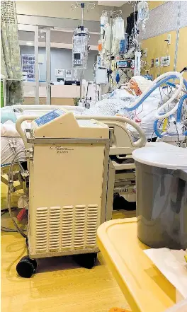 Jamaican student clings to life on hospital bed in USA - PressReader
