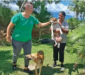 Sanctuarie­s abuzz with adoption - PressReader