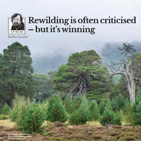Rewilding is often criticised – but it’s winning - PressReader