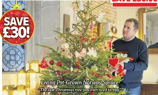 Christmas In A Box - PressReader