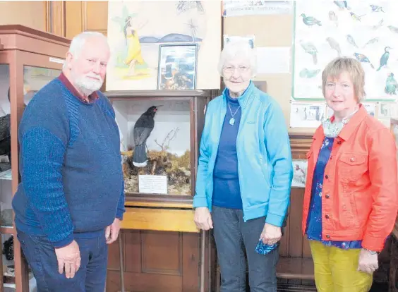 Recovered huia needs restoratio­n - PressReader