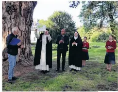 Le pin noir d’Autriche du domaine de Ternay labellisé arbre remarquabl ...