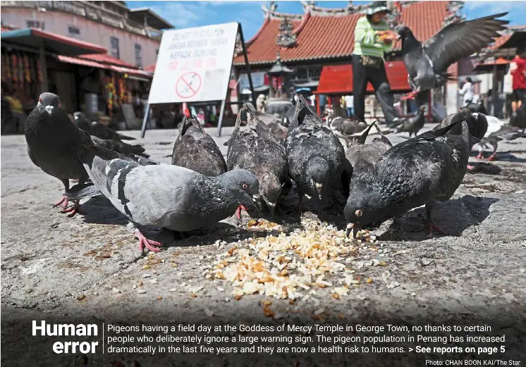 Human error - PressReader