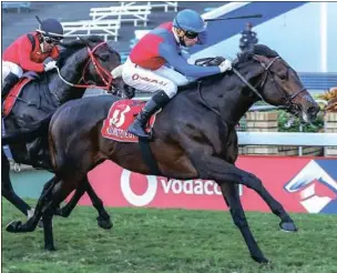 Sale offers something for everybody - PressReader