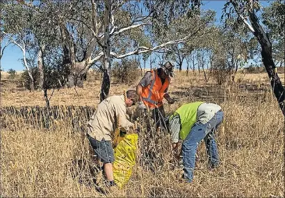 Cleaning up Australia together - PressReader