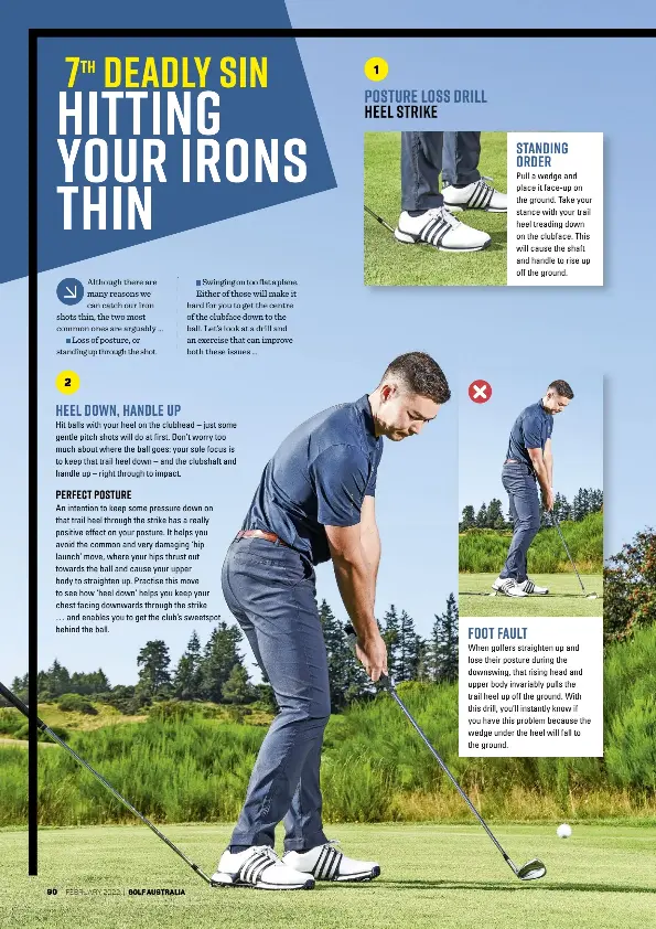 HITTING YOUR IRONS THIN - PressReader