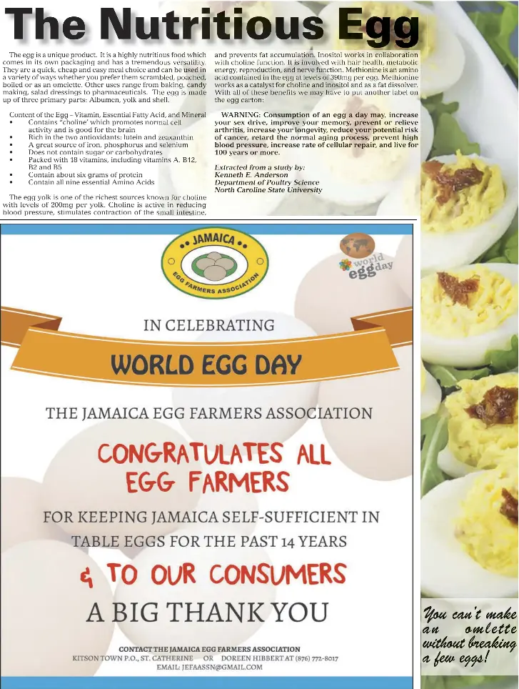 The Nutritious Egg - PressReader