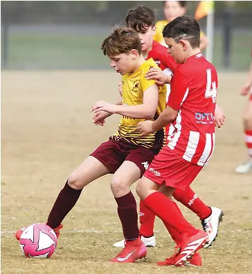 GSL results - PressReader