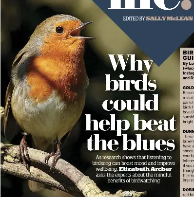 Why birds could help beat the blues - PressReader