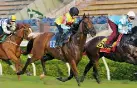 Wellington ‘all systems go’ for Royal Ascot - PressReader