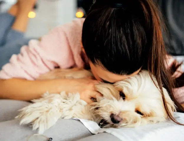 For the love of animals - PressReader