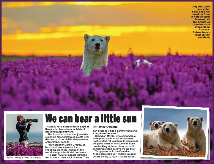 We can bear a little sun - PressReader